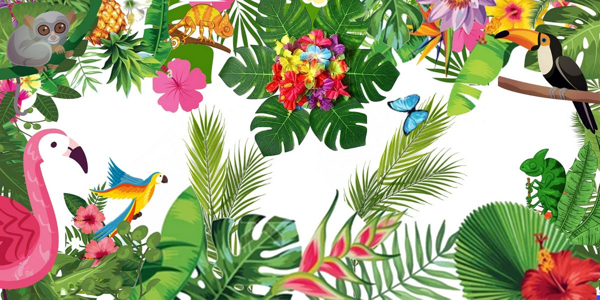 Summer party - Cena e DJ set a tema Jungle! - Avventure nel Mondo