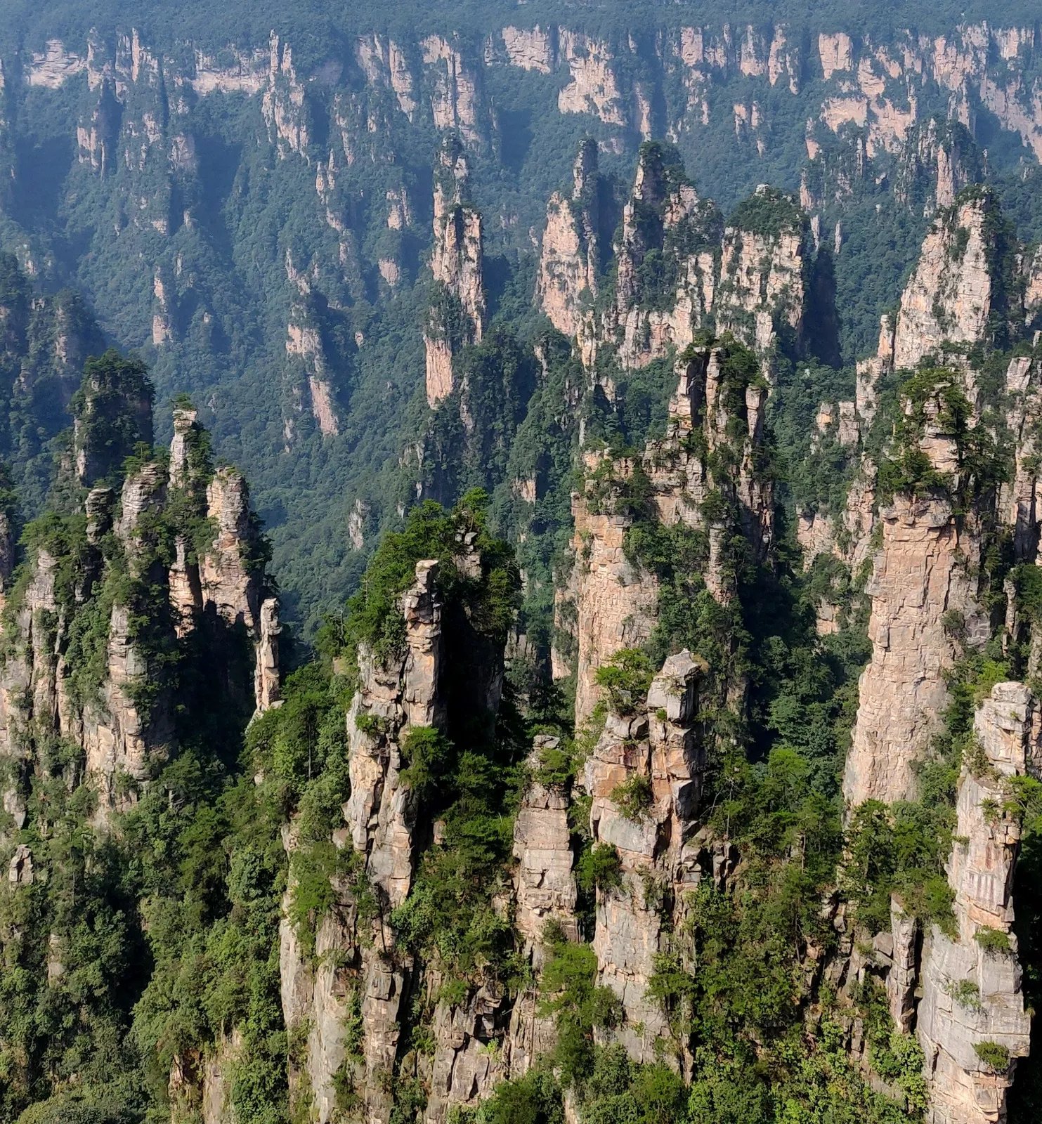 CINA NATURA - Avventure nel Mondo