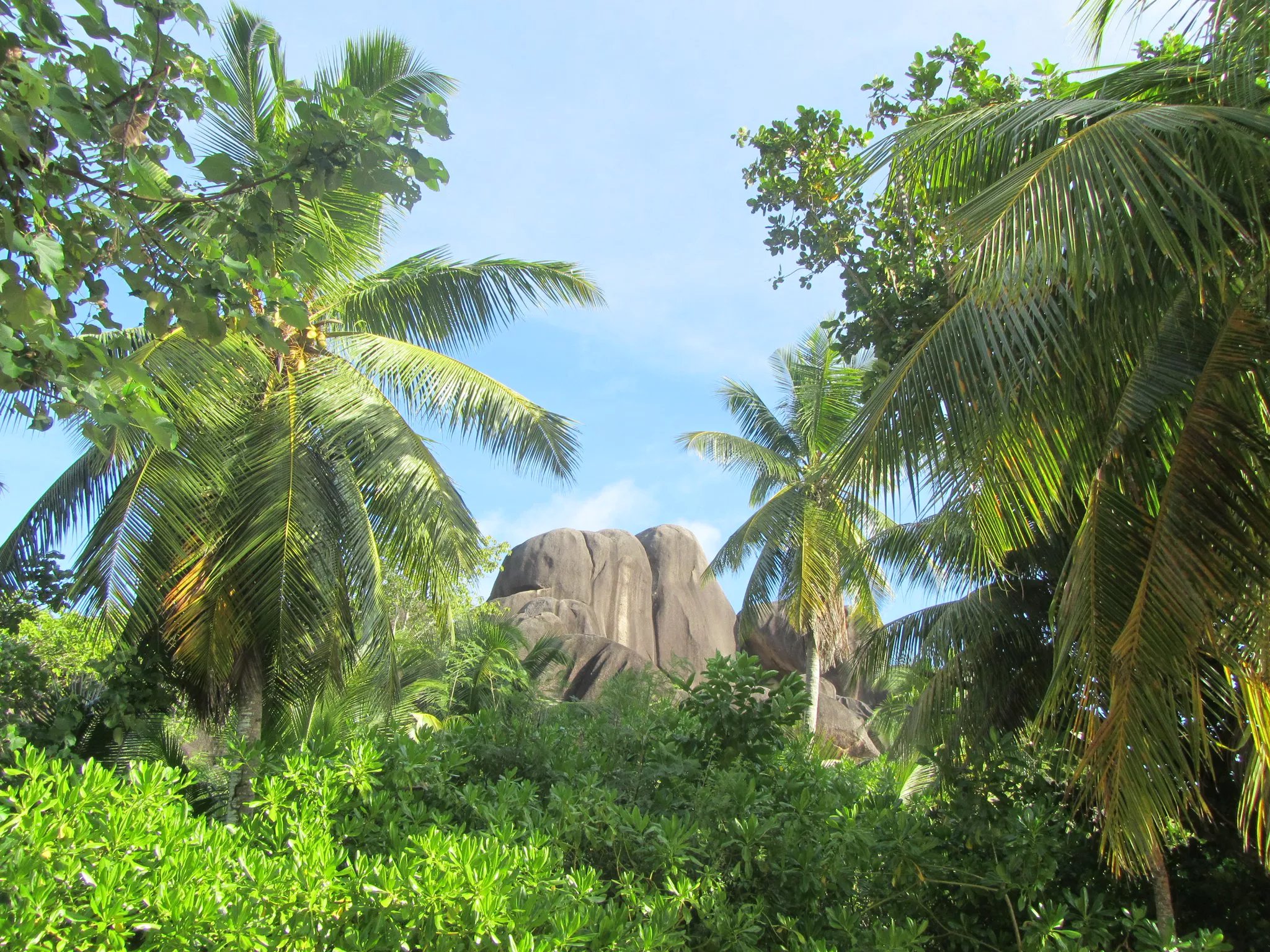 SEYCHELLES NATURA - Avventure nel Mondo