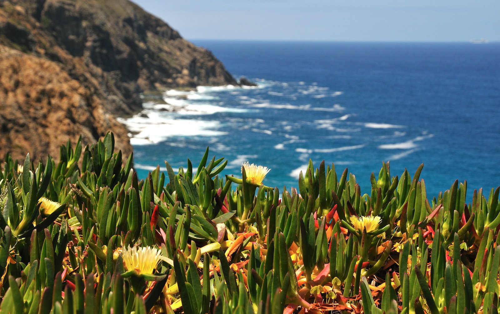 MADEIRA - Avventure nel Mondo