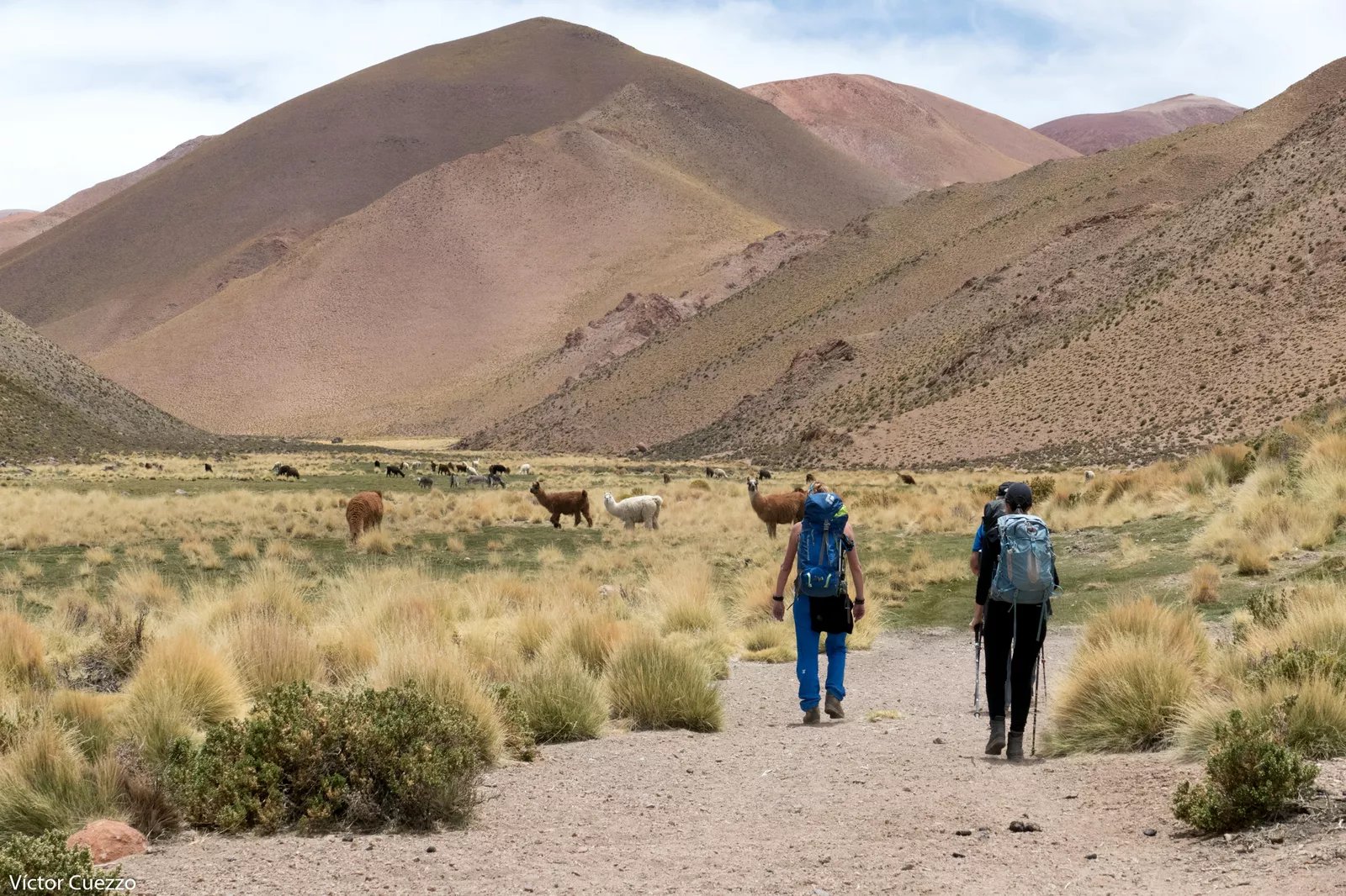 CAMINOS INCA ARGENTINA - Avventure nel Mondo