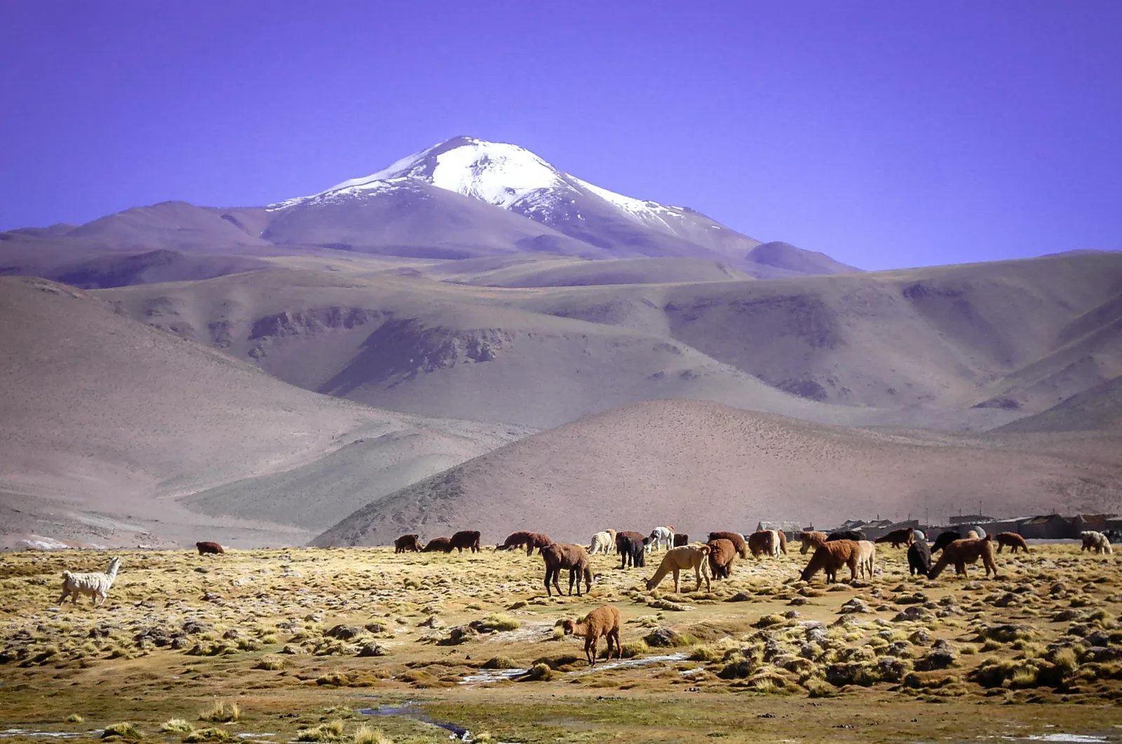 VULCANI INCA TREK - Avventure nel Mondo