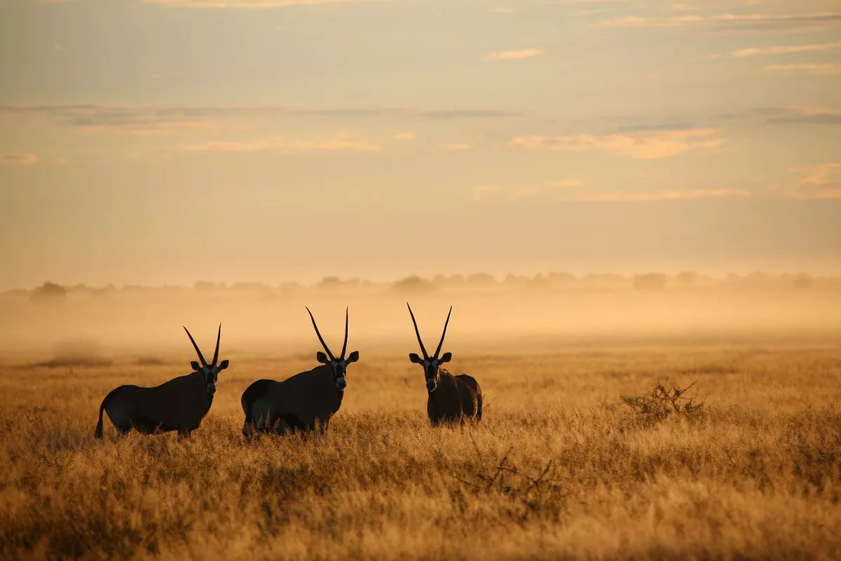 Viaggi di gruppo in Africa Meridionale - Avventure nel Mondo